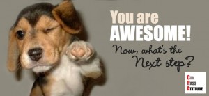 I Passed! Now What's the Next Step after CPA Exam?